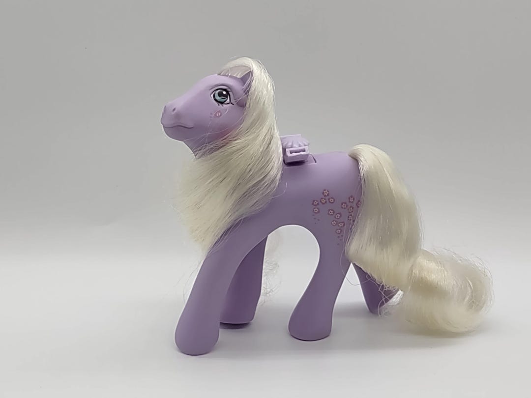 My Little Pony Vintage G1 Forget Me Not (flutter Pony) 372-28 - Etsy