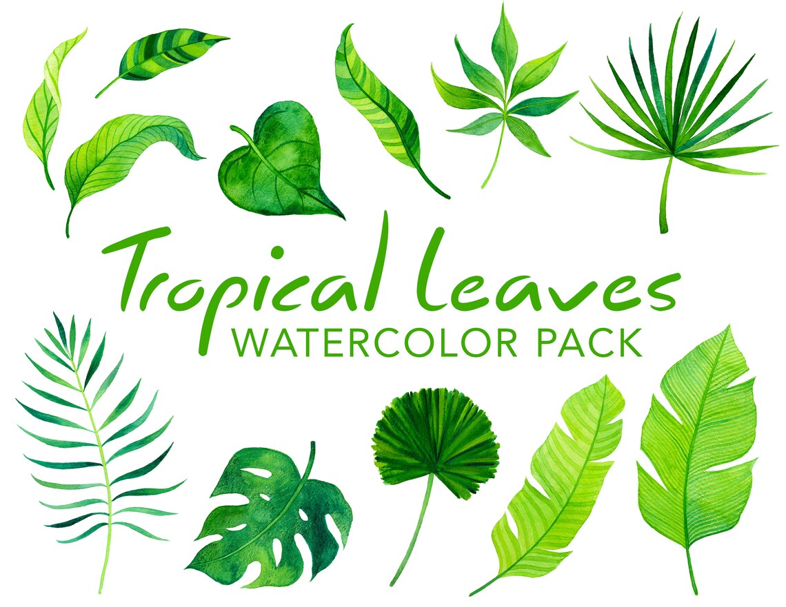 Tropical Leaves Watercolor Clipart - Etsy