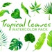 Tropical Leaves Watercolor Clipart - Etsy