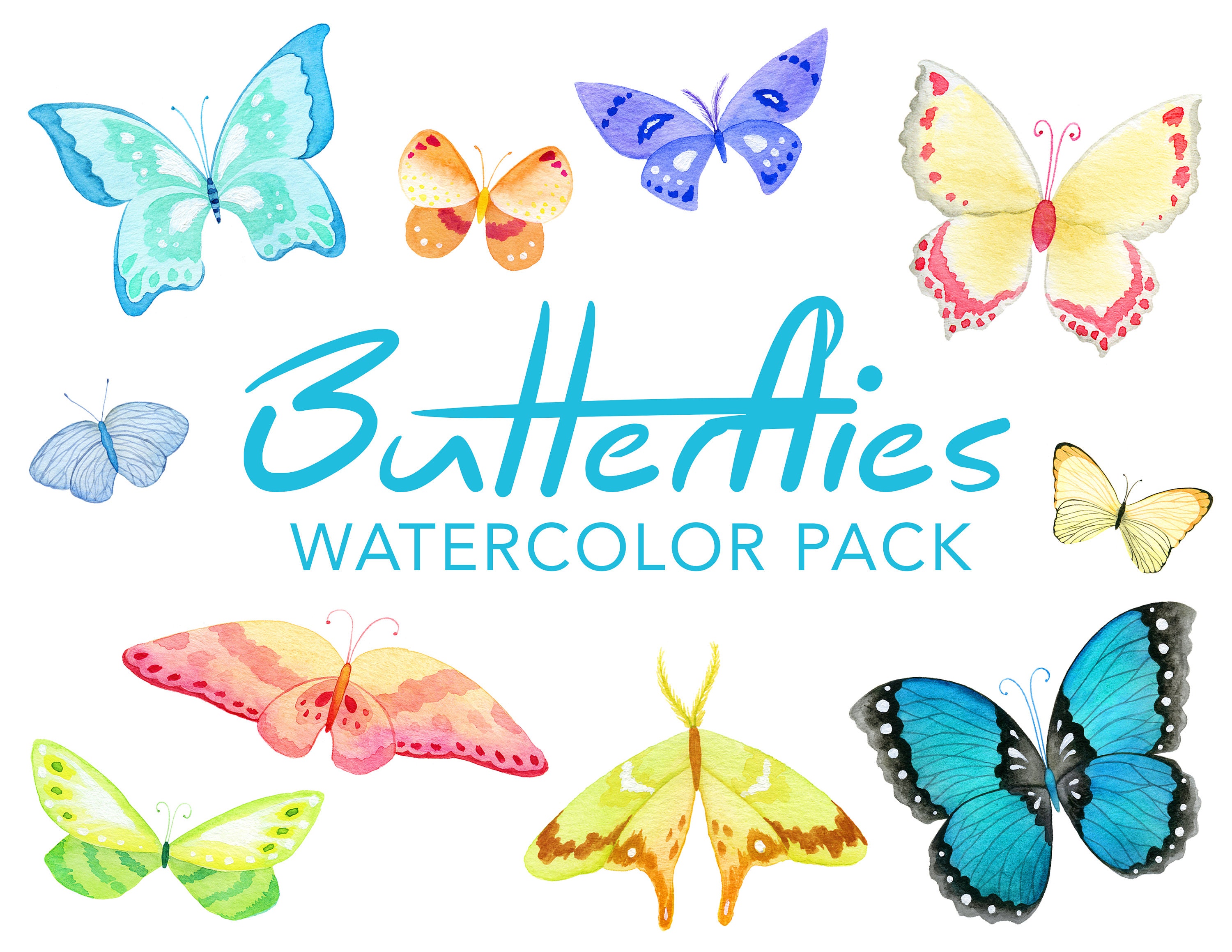 Butterfly Watercolor Clipart - Etsy