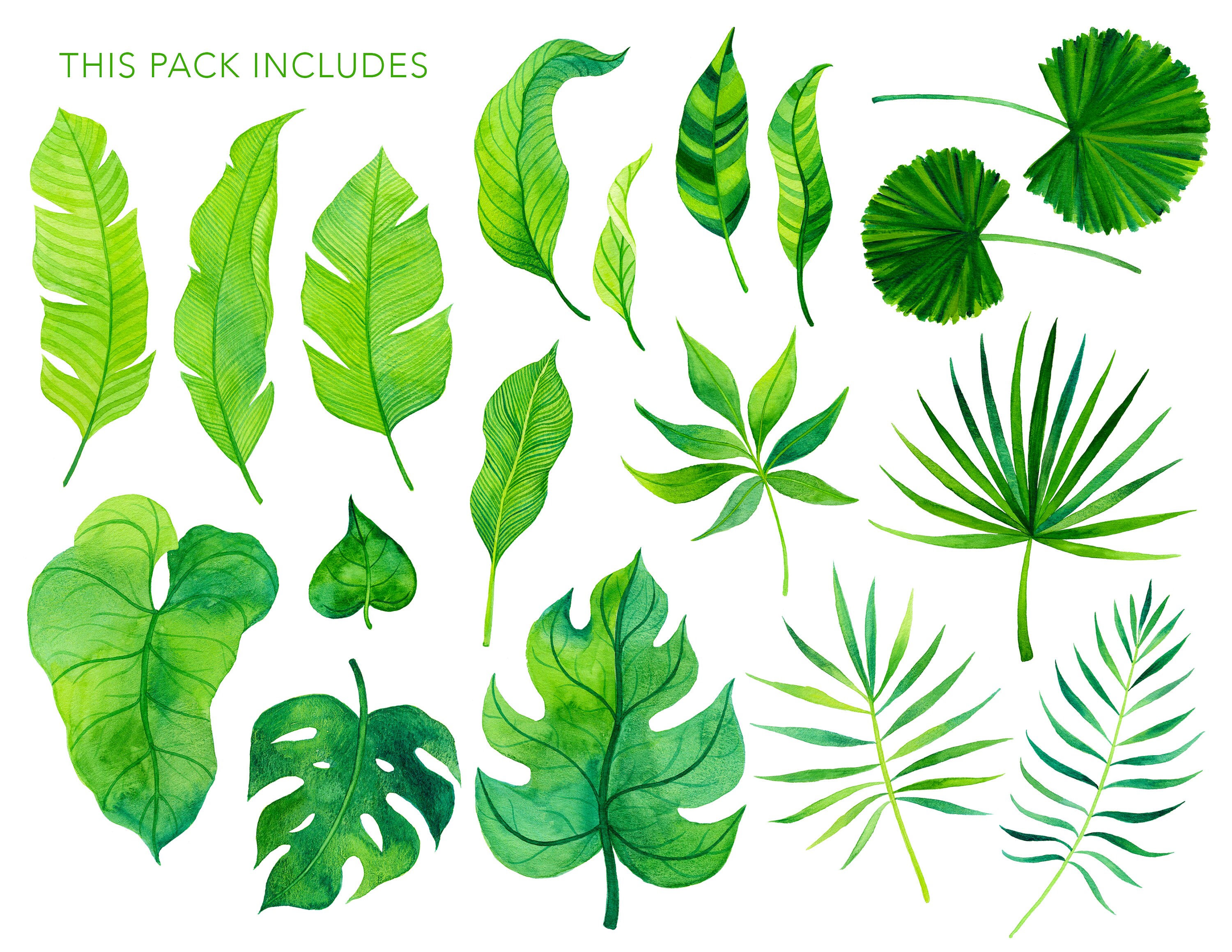 Tropical Leaves Watercolor Clipart - Etsy