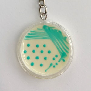 Listeria Petri Dish Keychain / Microbiology Agar Art / Bacteria Science ...
