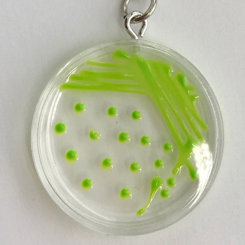 E.coli Blood Petri Dish Keychain / Microbiology Agar Art / - Etsy