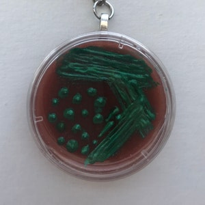 E. Coli EMB Petri Dish Keychain / Microbiology Agar Art / Bacteria ...