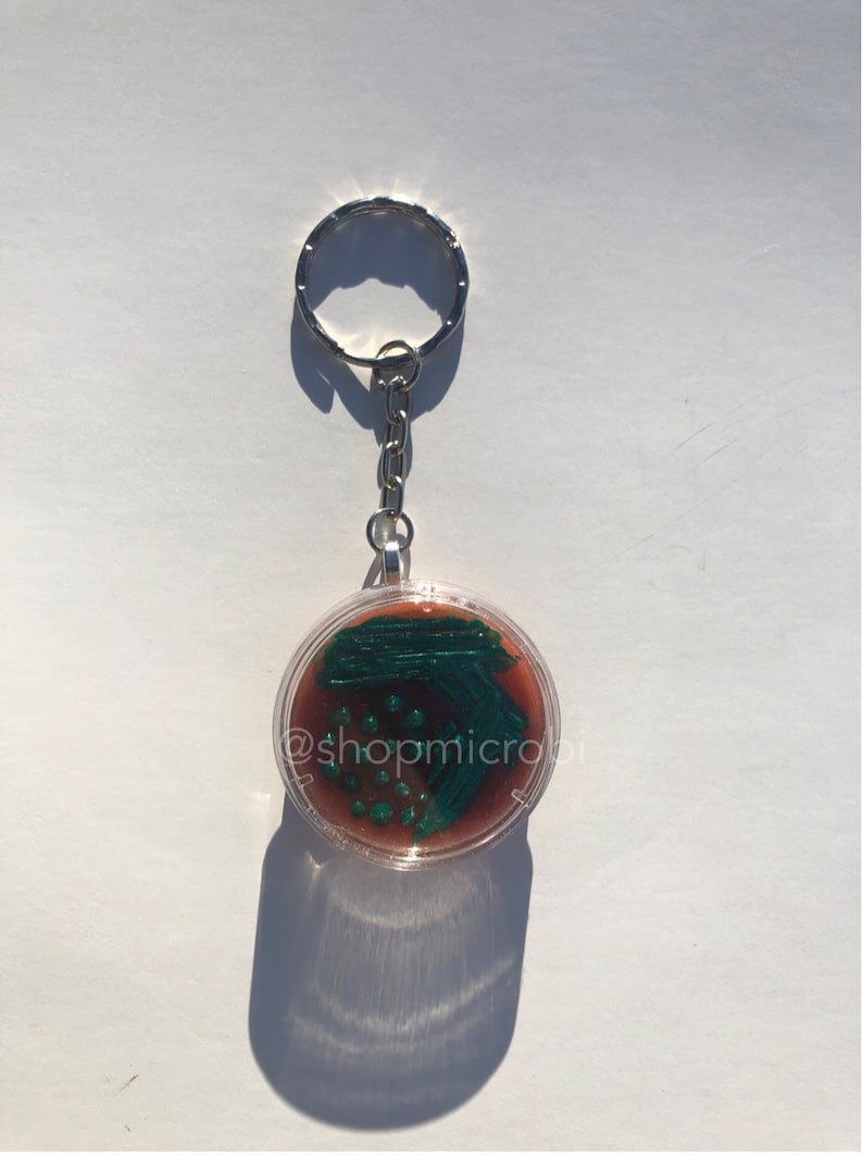 E. Coli EMB Petri Dish Keychain / Microbiology Agar Art / - Etsy