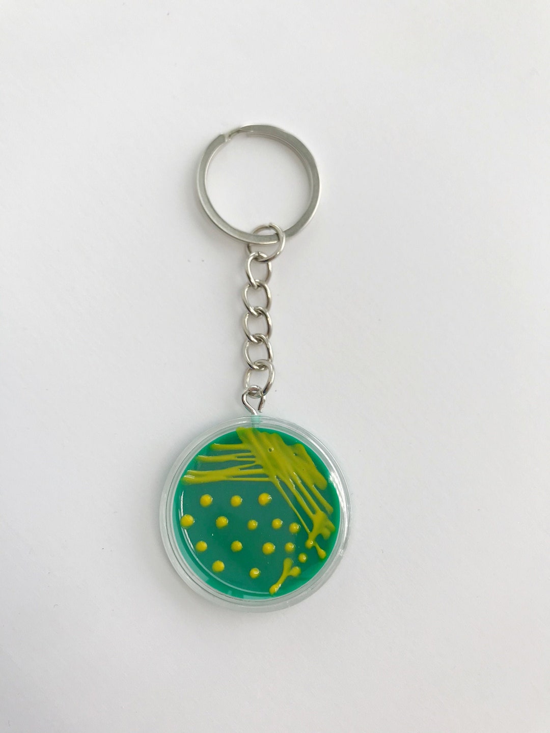 Vibrio Cholerae Petri Dish Keychain / Microbiology Agar Art / Bacteria ...