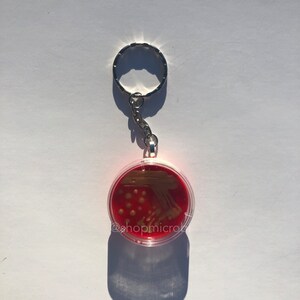 Staph Aureus Petri Dish Keychain / Microbiology Agar Art / Bacteria ...
