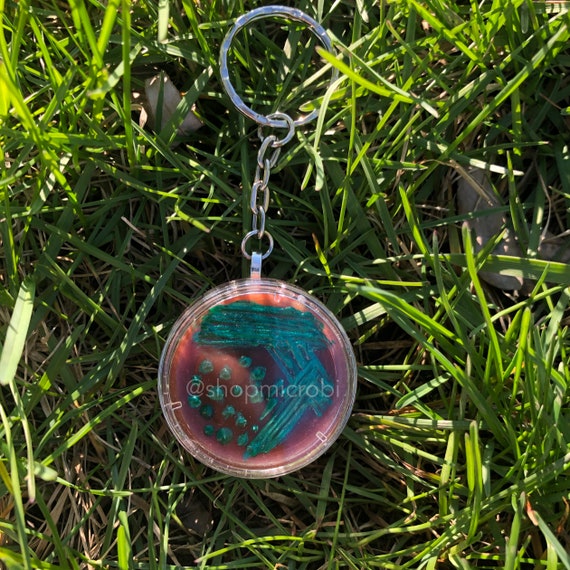 E. Coli EMB Petri Dish Keychain / Microbiology Agar Art / | Etsy