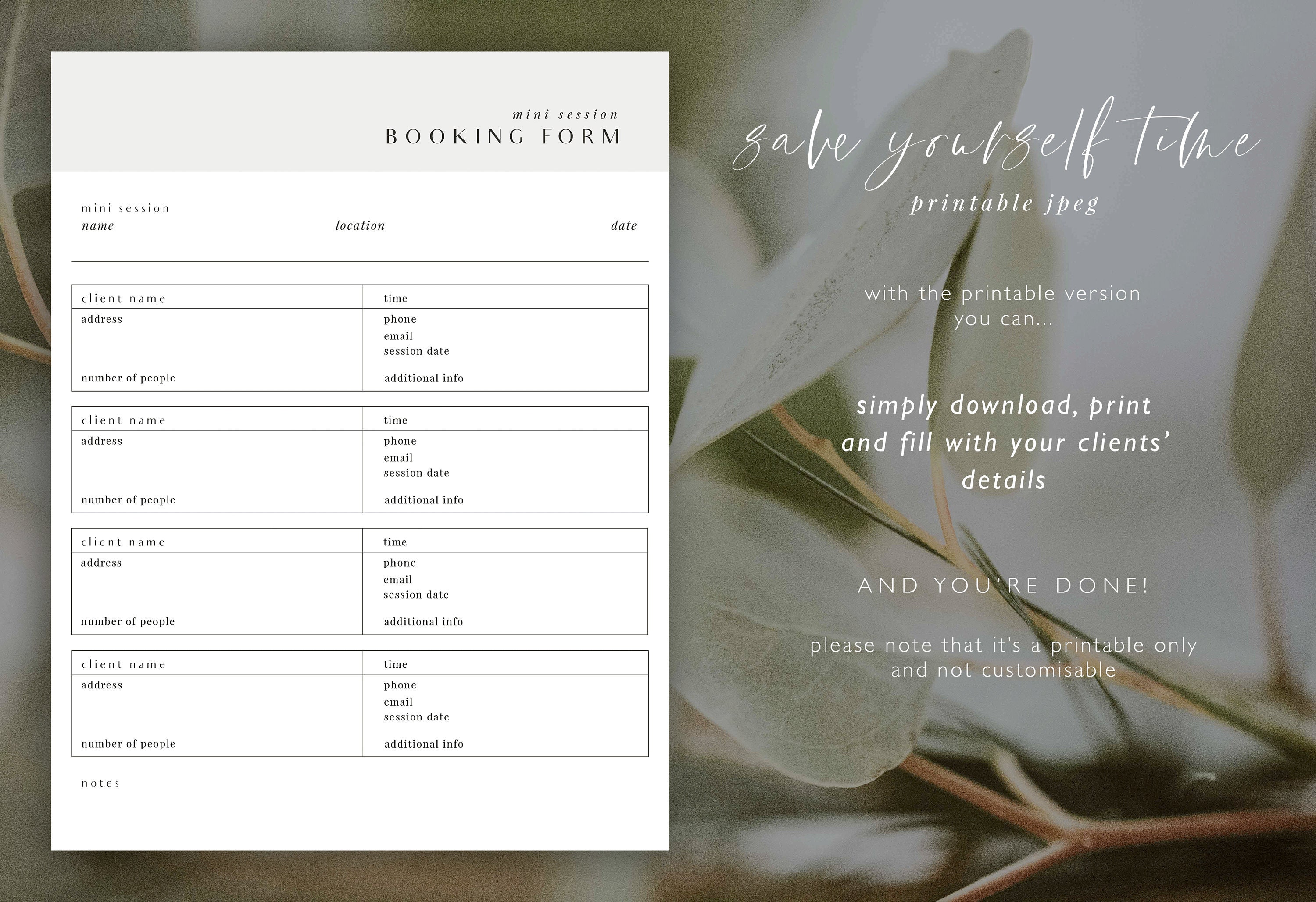 Mini Session Booking Form, Printable Photography Session Planner ...
