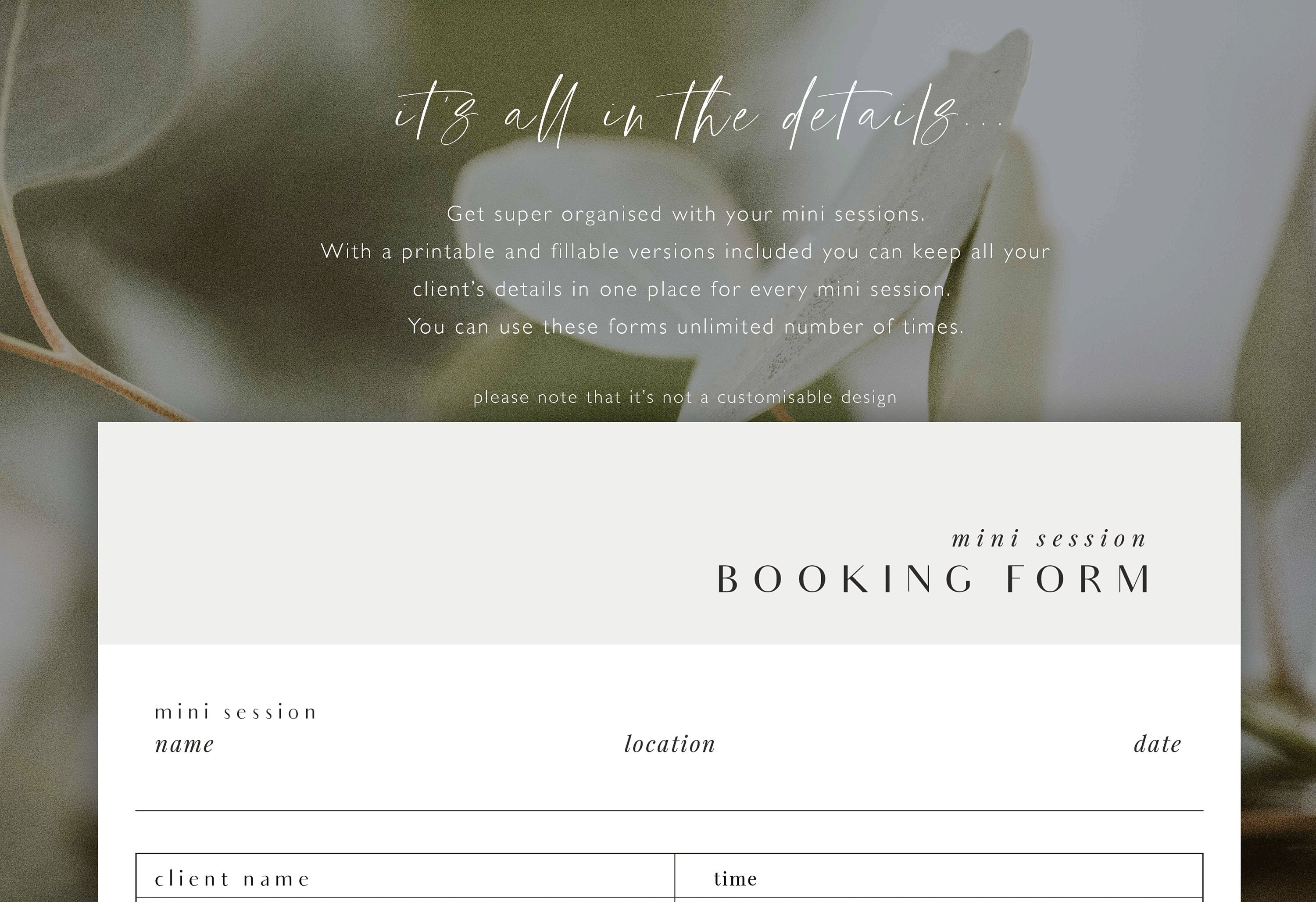 Mini Session Booking Form, Printable Photography Session Planner ...