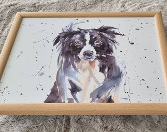Border Collie Lap Tray - Etsy UK