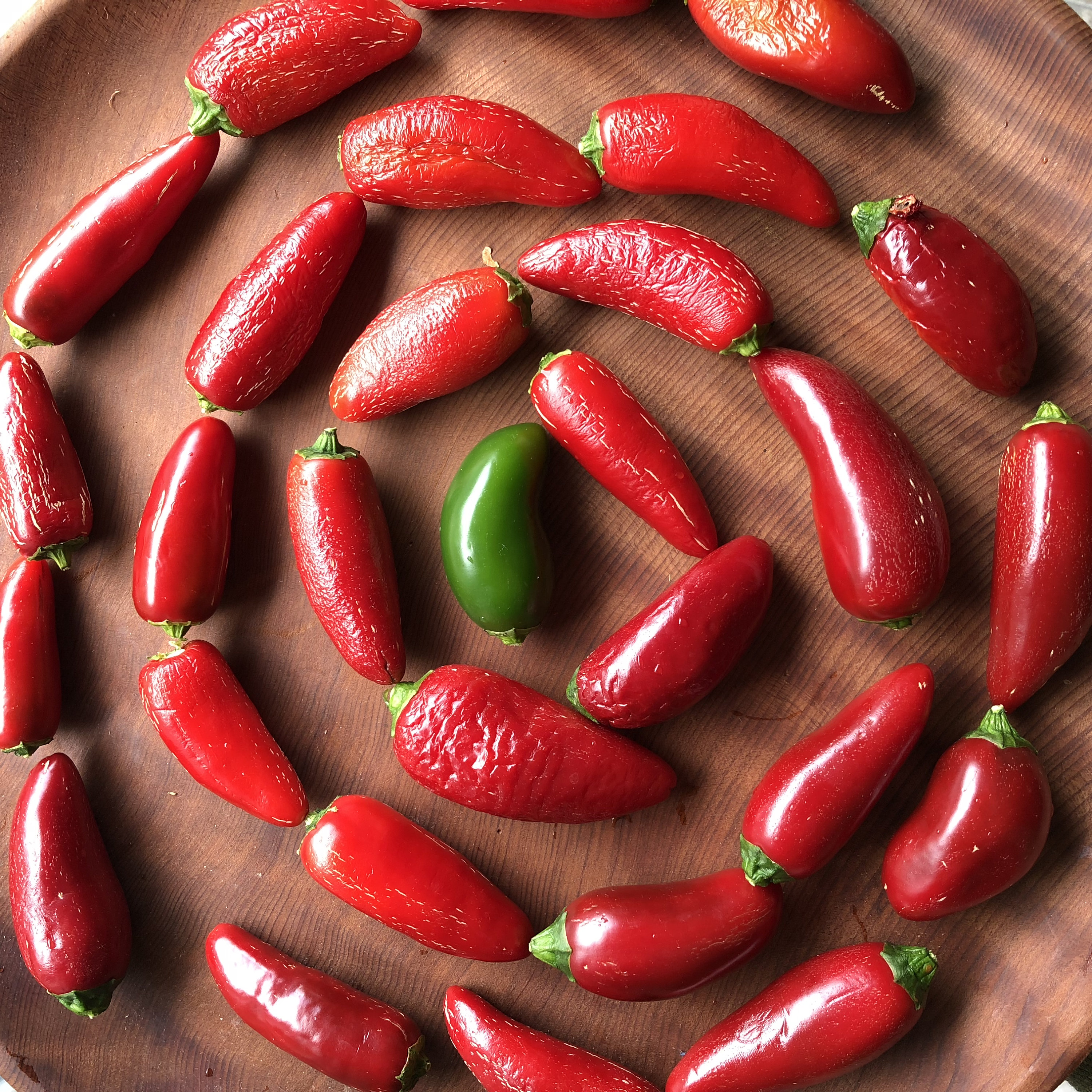 Peter Pipers Pepper Mix - Etsy