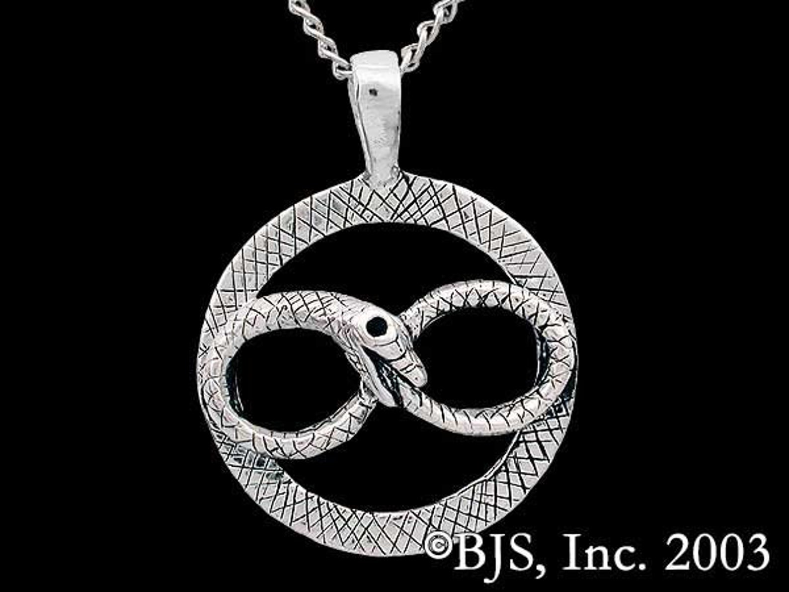 Ouroboros Necklace Infinity Snake Pendant Sterling Silver - Etsy
