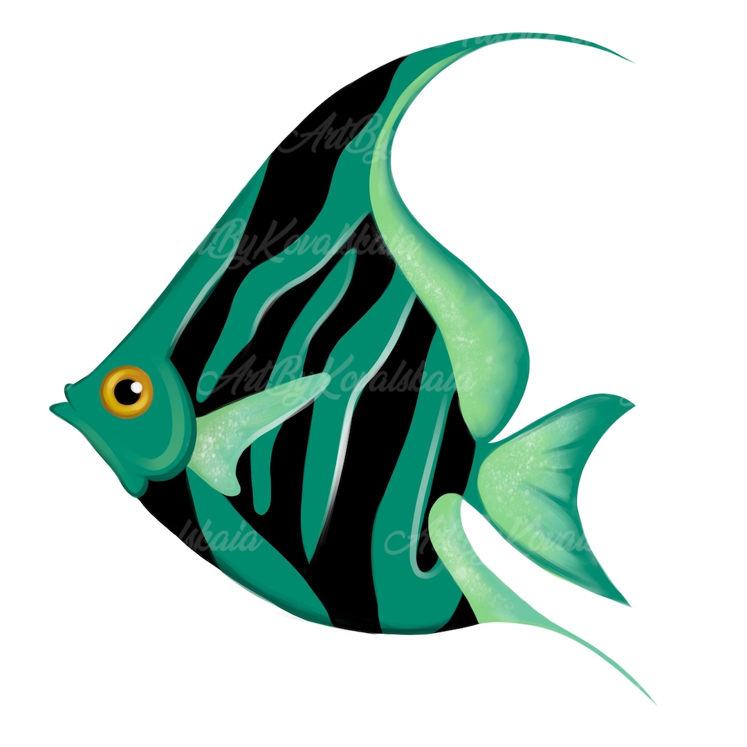 Colorful Tropical Fish PNG – Teal Angelfish Clip Art (digital Download ...