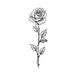 Rose Tattoo Design for Women (digital Download) - Etsy