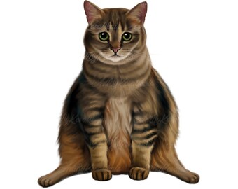 Cat Clipart Cute Cat PNG Digital Download - Etsy