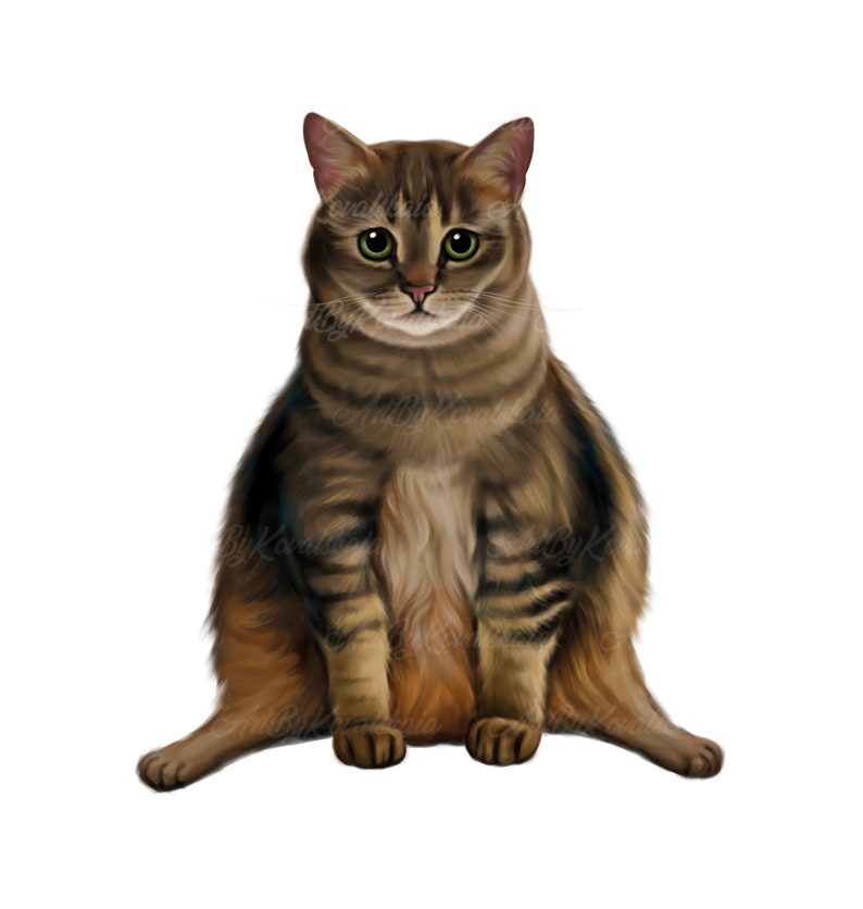 Cat PNG, Cat Clipart, PNG, Digital Download - Etsy