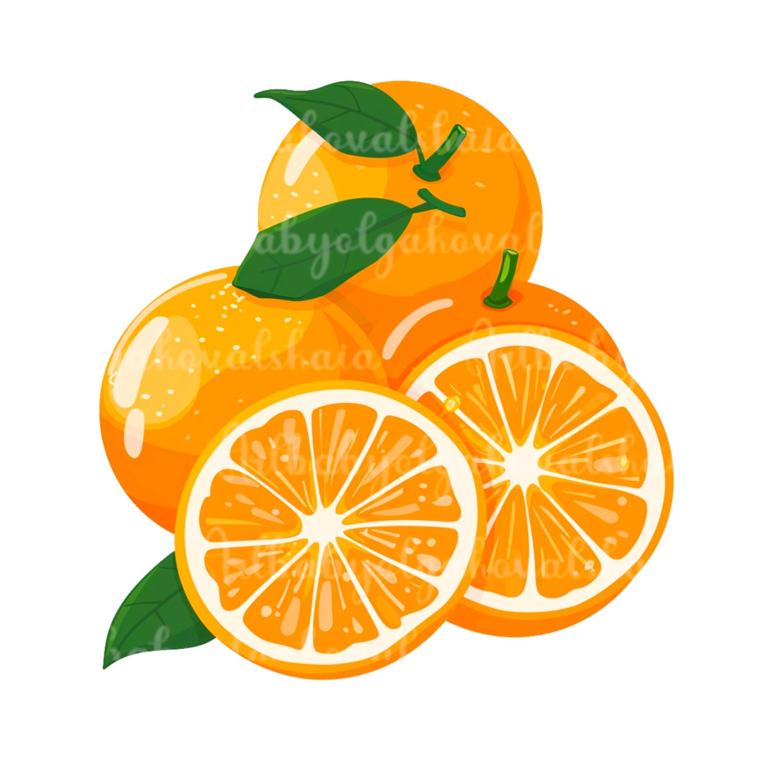 Orange PNG, Symbol of Florida, Oranges Clipart, Digital Download - Etsy