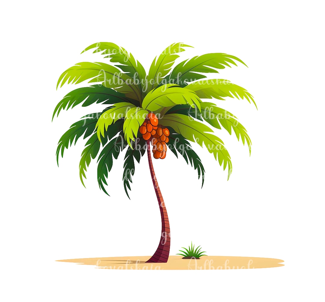 Palm Tree PNG Clipart, DIGITAL DOWNLOAD - Etsy