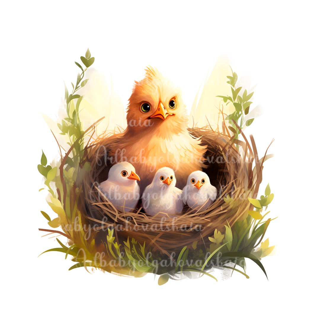 Hen on the Nest PNG, Chicken Clipart, Chicks, DIGITAL DOWNLOAD - Etsy