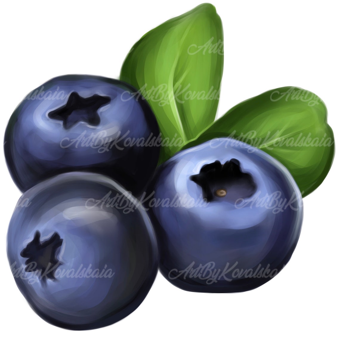 Blueberry PNG Berries Digital Blueberries PNG Digital - Etsy