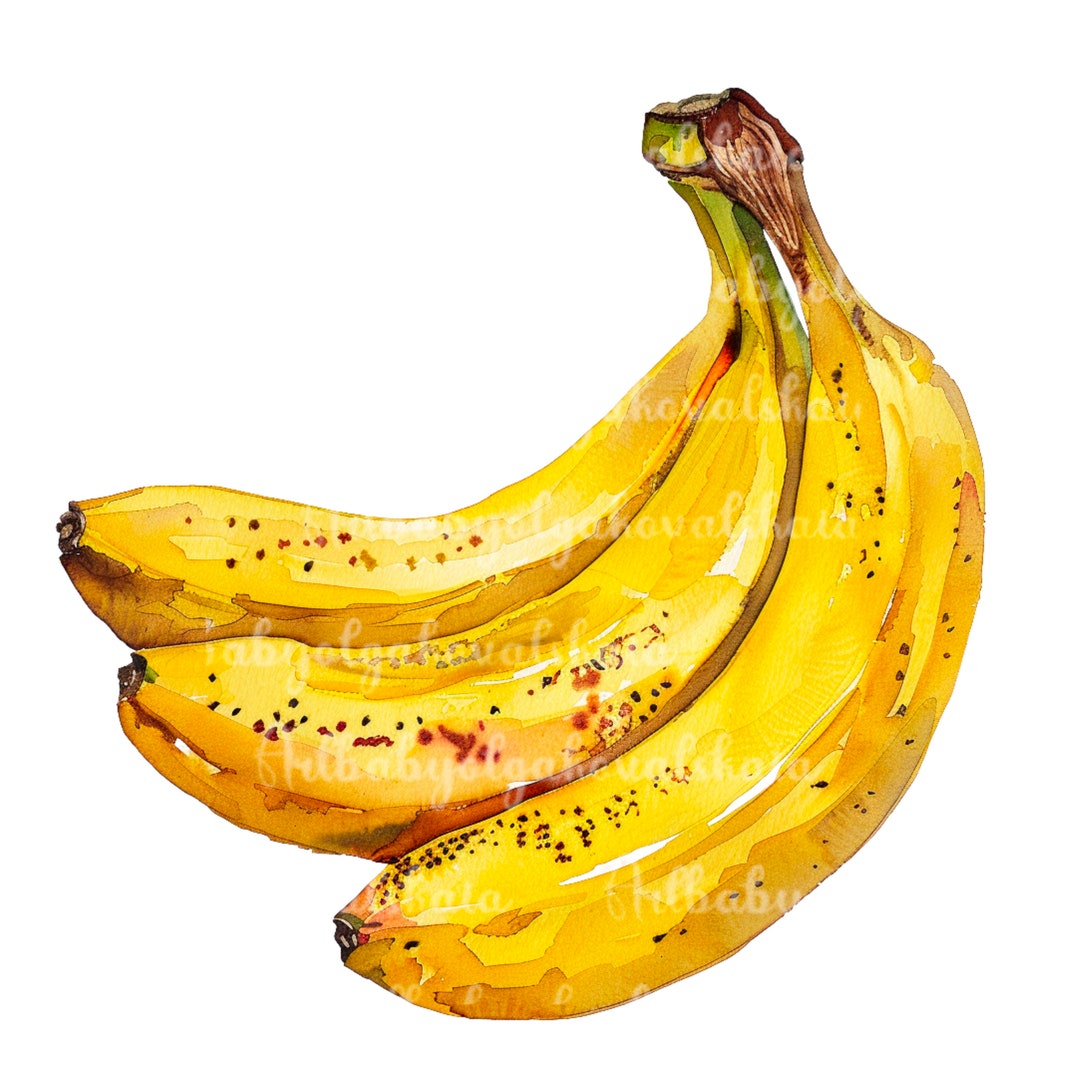 Bananas PNG, Fruit, Watercolor Banana Clipart, Digital Download - Etsy