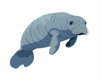 Manatee Clipart, Manatees PNG, Digital Download - Etsy