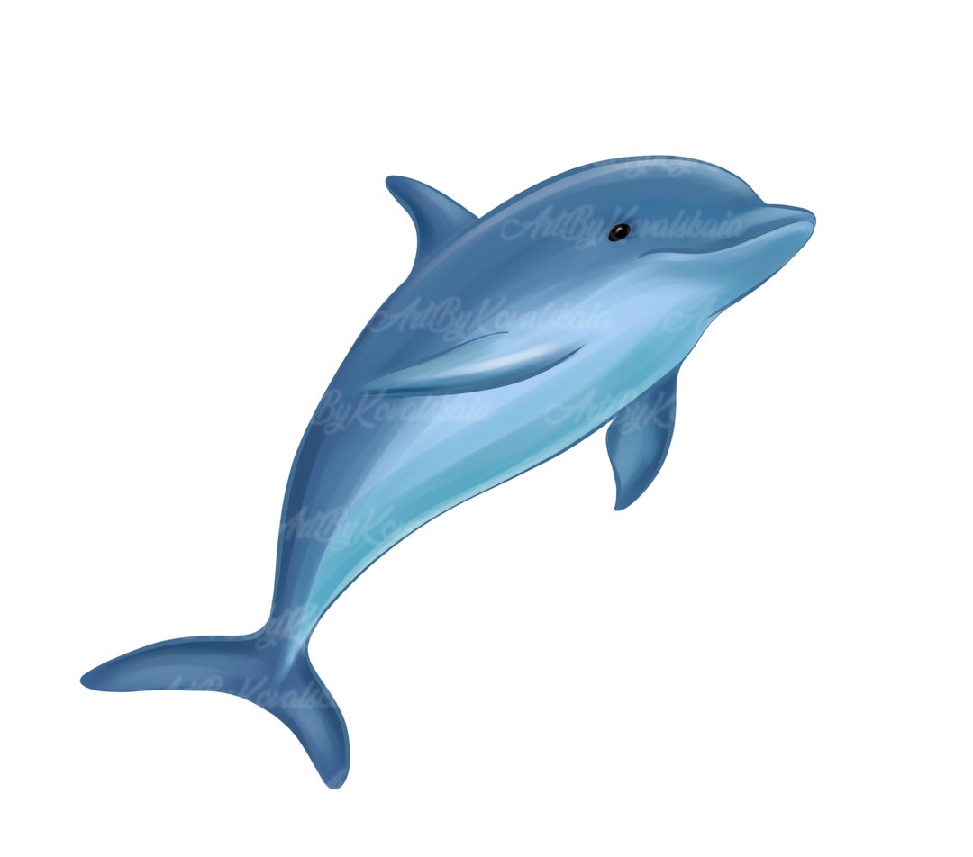 Dolphin PNG, Dolphin Clipart, Ocean Clipart, Digital Download - Etsy