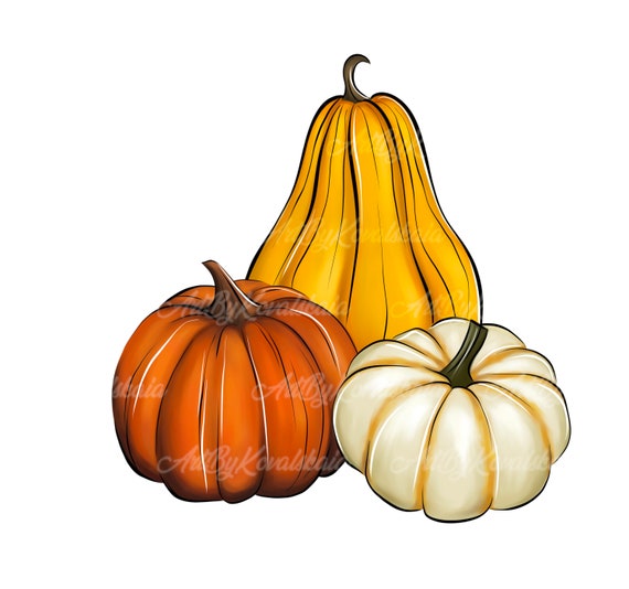 Thanksgiving Pumpkin Png