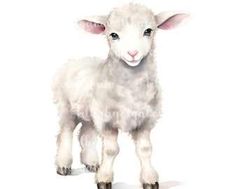 Cute Sheep Clipart, Sheep PNG, Sheep and Stars Collection, Watercolor ...