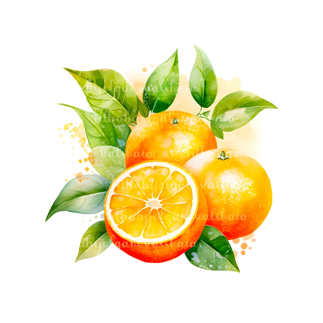 Watercolor Orange Clipart, PNG, Instant Download - Etsy
