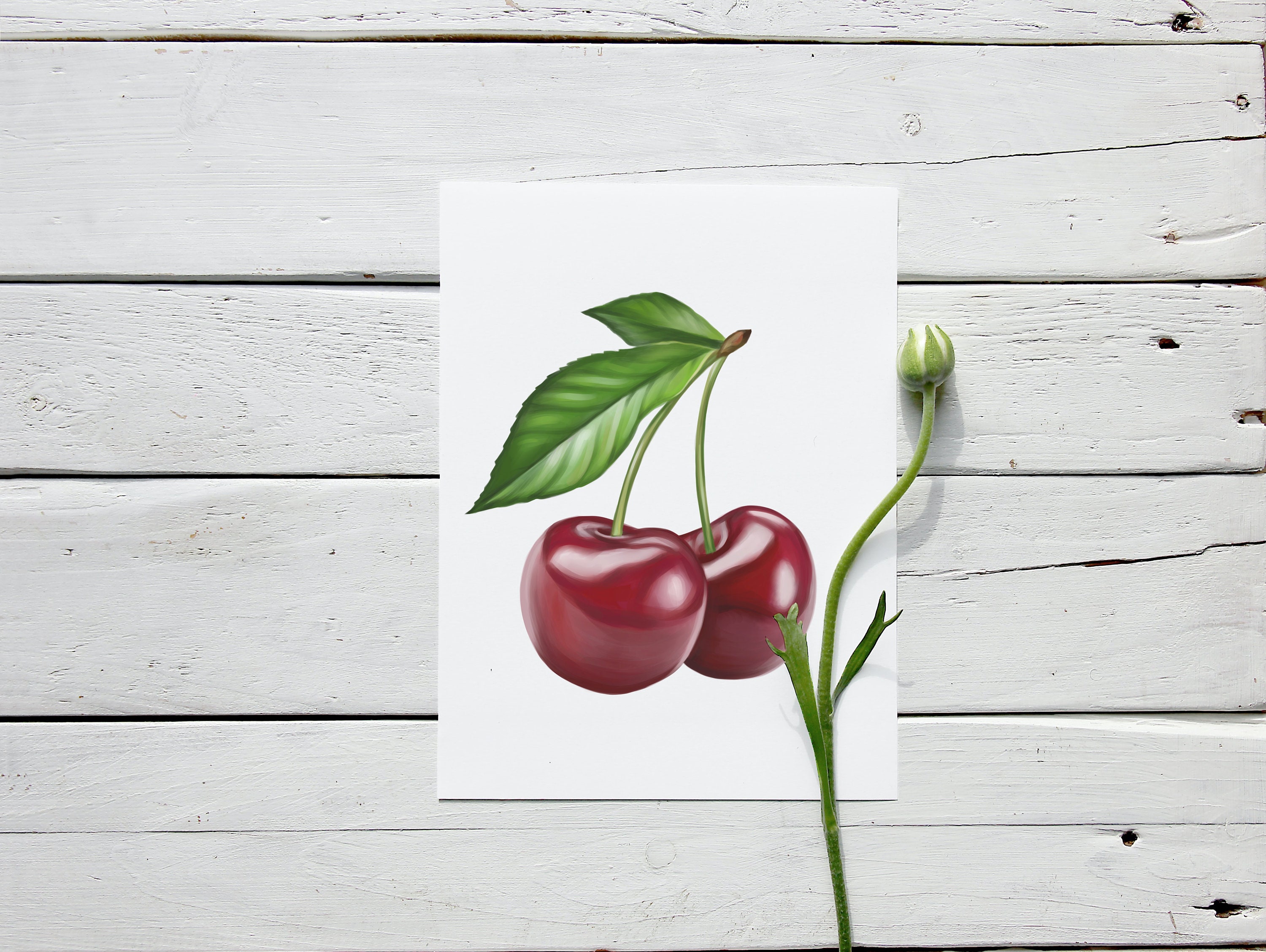 Kersen PNG Kersen Clip Art Digitale Download - Etsy Nederland