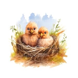 Hen on the Nest PNG, Chicken Clipart, DIGITAL DOWNLOAD - Etsy