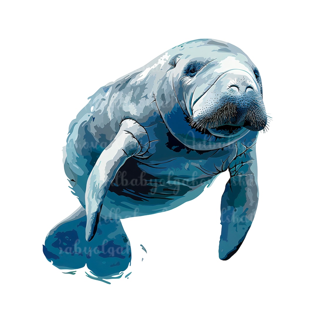 Manatee Clip Art, Cute Manatee PNG, Digital Download - Etsy