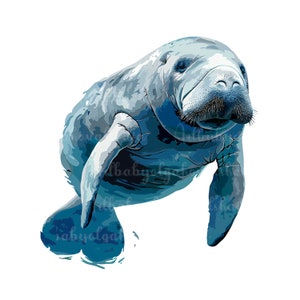 Manatee Clip Art, Cute Manatee PNG, Digital Download - Etsy