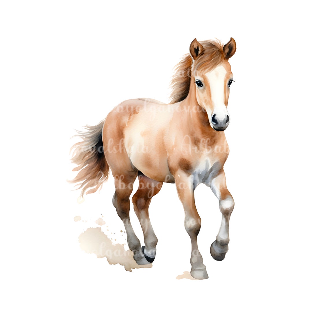 Watercolor Horse PNG, Animals Clipart, Digital Download - Etsy