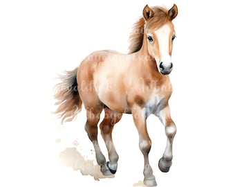 White Horse Clipart, Watercolor Horse PNG, Digital Download - Etsy