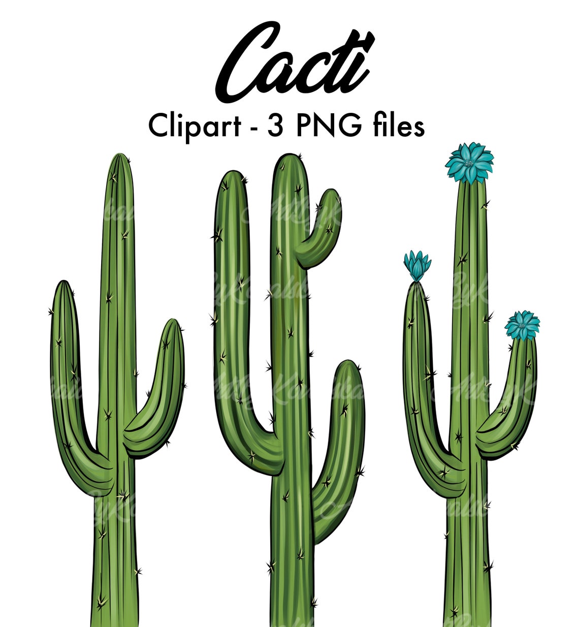 Cacti Clipart Cactus PNG Cacti PNG Digital Download - Etsy