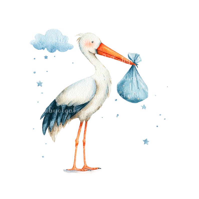 Stork PNG, Watercolor Stork, Baby Shower Boy, Digital Download - Etsy