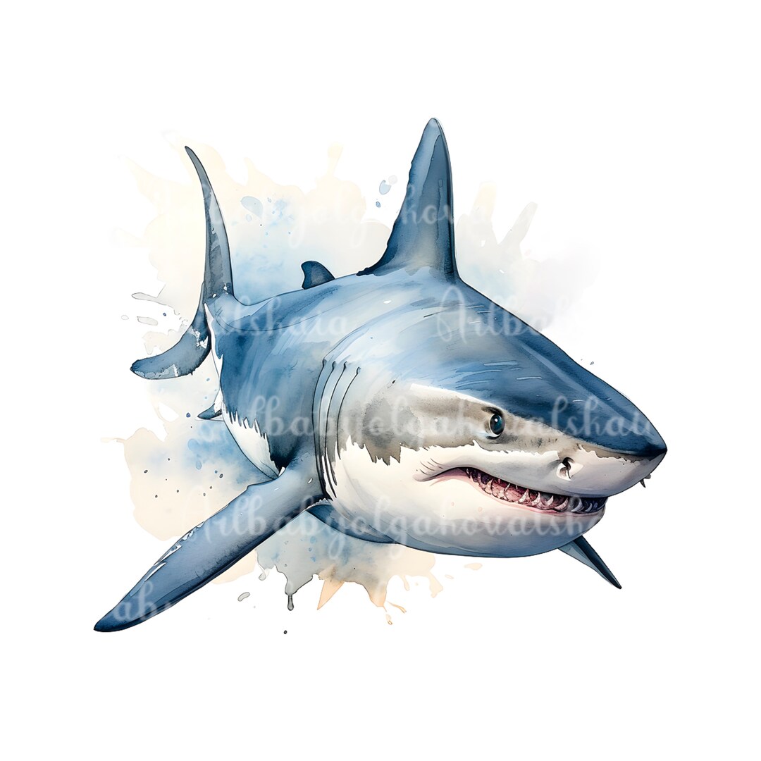Shark PNG, Watercolor Shark Clipart, Ocean Clip Art, Digital Download ...