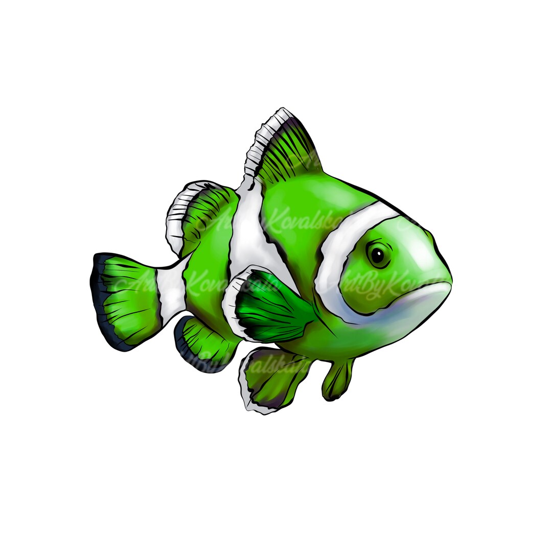 Tropical Fish PNG: Green Clownfish Clip Art (digital Download) - Etsy