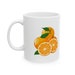Orange PNG, Symbol of Florida, Oranges Clipart, Digital Download - Etsy
