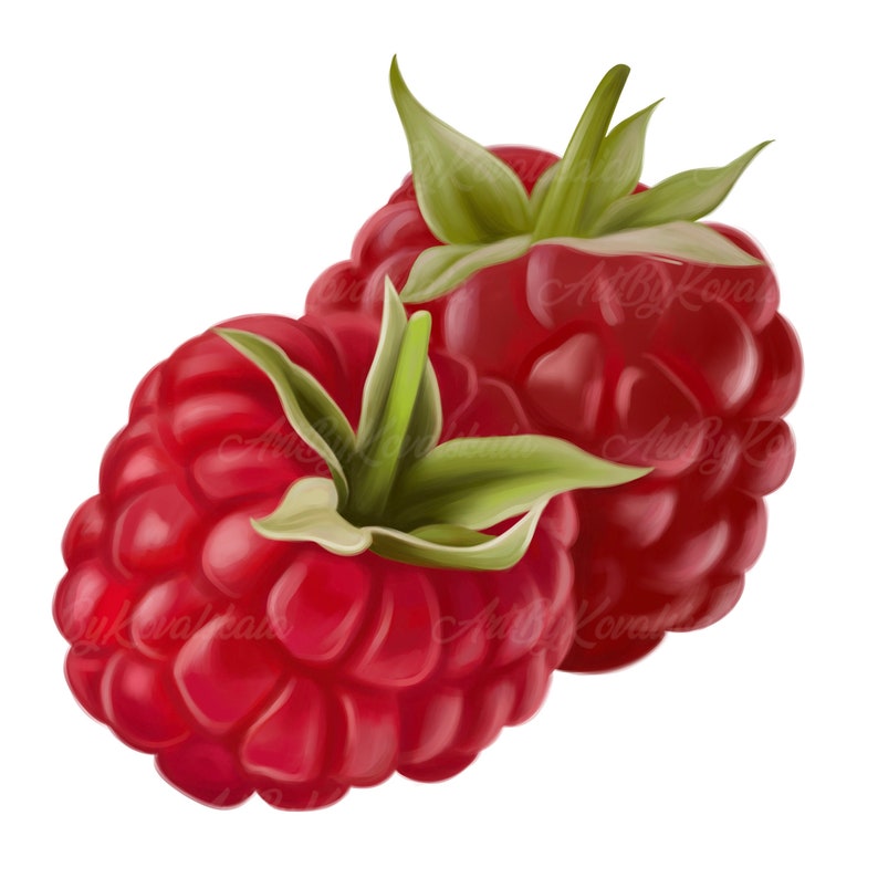 Raspberry PNG Raspberry Clipart PNG Digital Download - Etsy