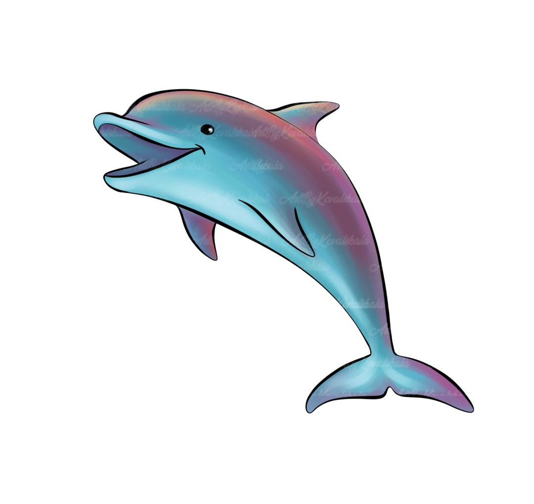 Dolphin PNG, Dolphin Clipart, Ocean Clipart, Digital Download - Etsy