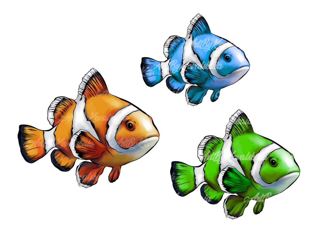 Tropical Clownfish PNG: Colorful Fish Clip Art (digital Download) - Etsy