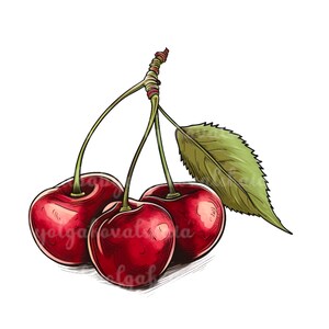 Cherry PNG, Cherries Clip Art, Digital Download - Etsy
