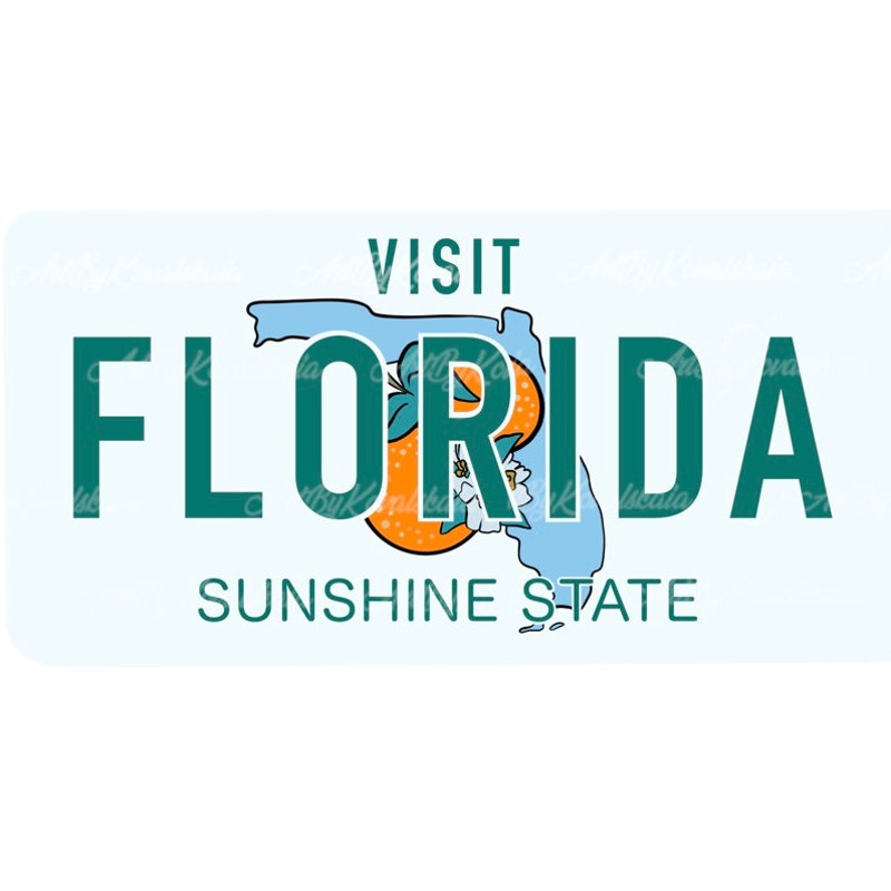 Florida License Plate Art - Etsy
