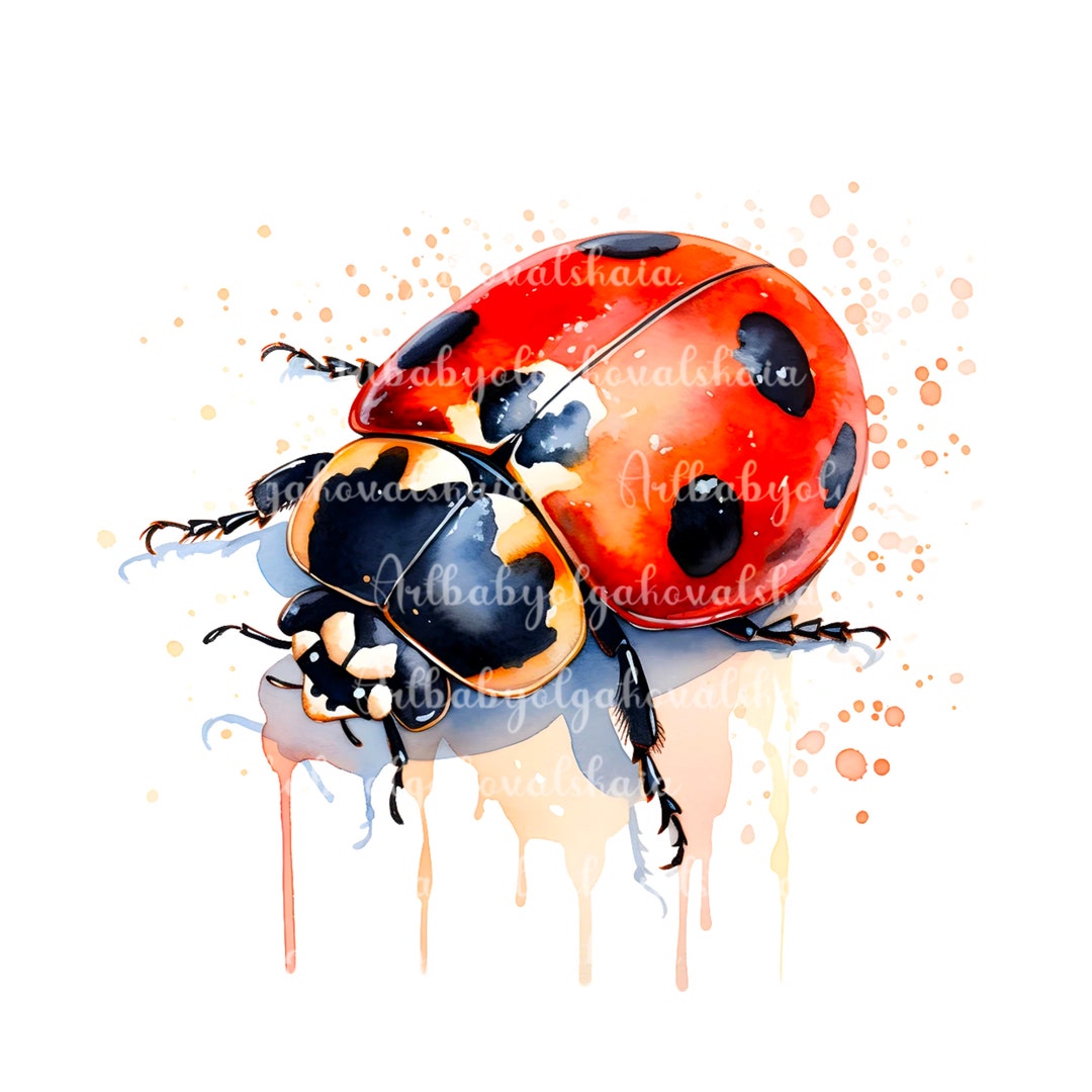 Ladybug Clipart, Watercolor Ladybug PNG, Digital Download - Etsy