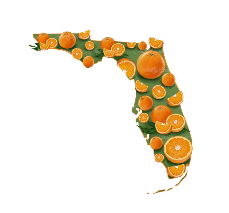 Florida State Map Florida PNG Florida Clipart Digital - Etsy