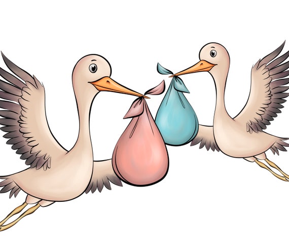 Baby Boy Stork Clipart